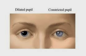 Treat Yourself to Health (Instead of treat your Disease)