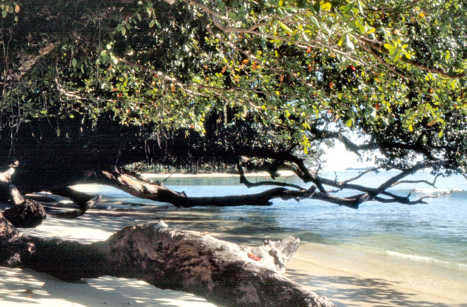 The Bougainville Copper Project: Andy Price contributed these priceless ...