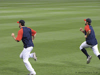 Baseball tryouts & what coaches look for