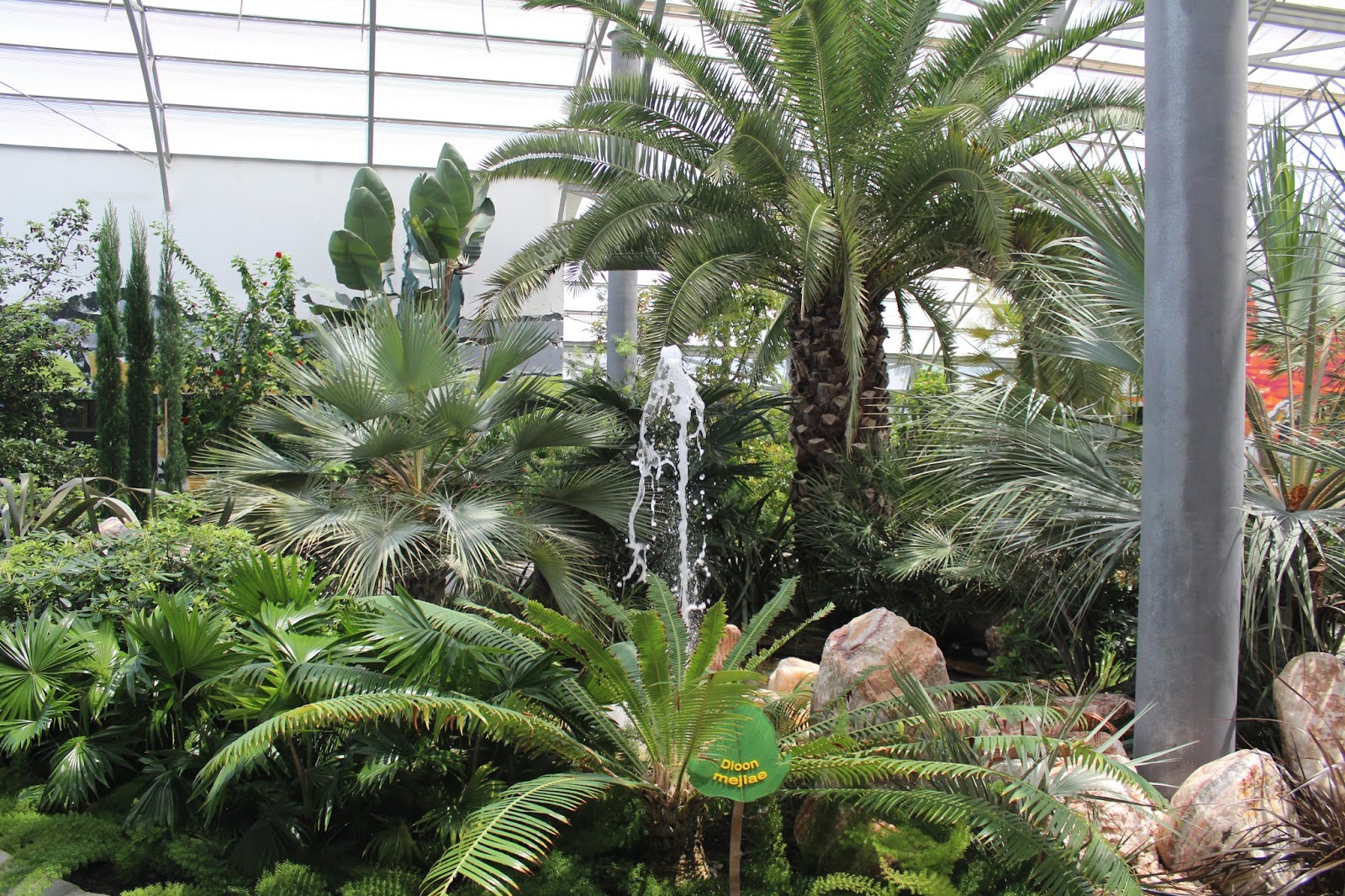 KuWAIT for it...: Bayan Botanical Garden