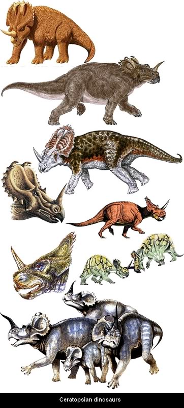 Possible explanations: