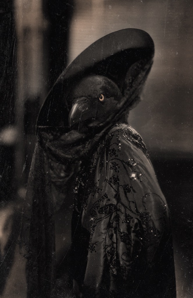 Elisandre - L'Oeuvre au Noir: Les collages surréalistes de Robin Isely