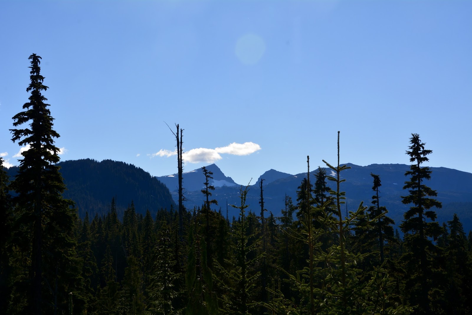 venturing4th: Hiking the Forbidden Plateau in Strathcona Provincial Park