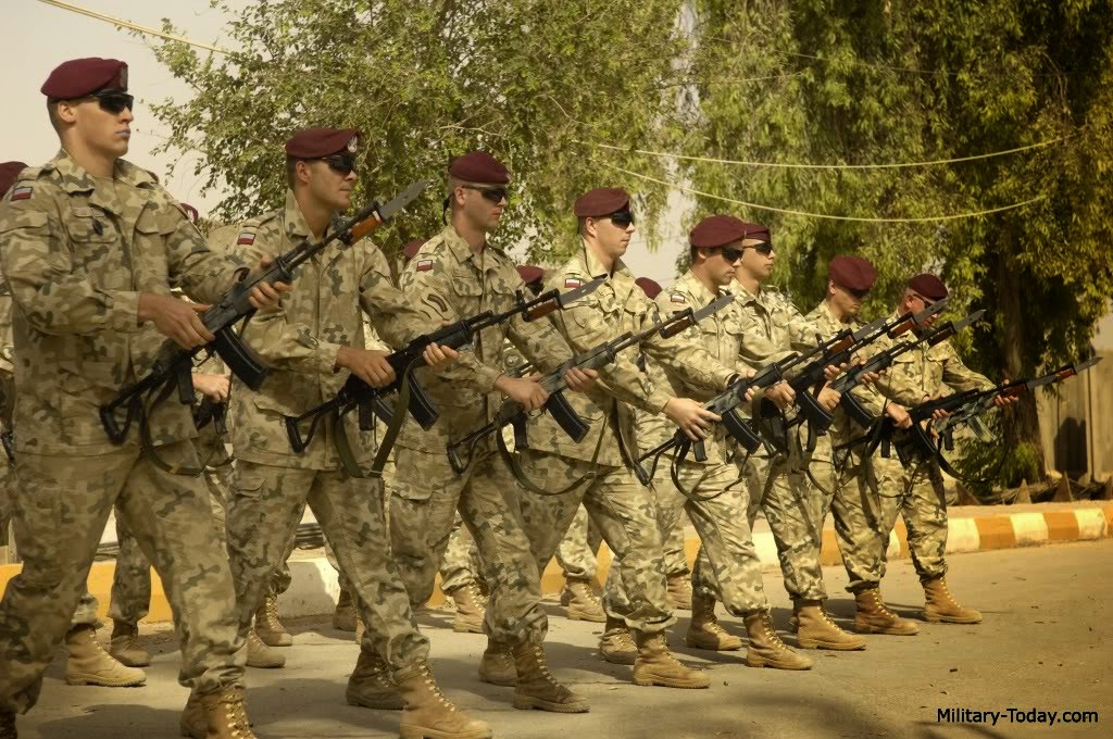 Defensa y Armas: Rifle de asalto: Beryl (Polonia)