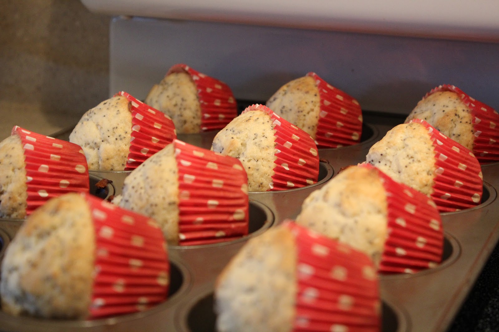 FuzzCreations: From My Nest To Yours