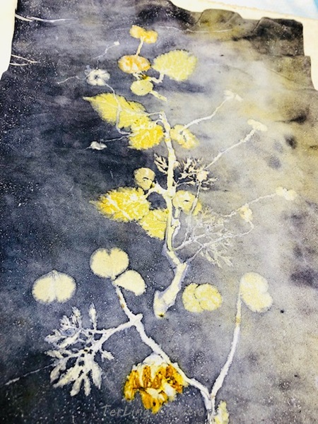 Terrie ~.~ smiling.....: Various botanical natural prints experiments ...
