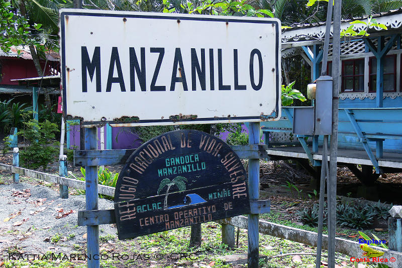 Manzanillo de Limón | Explore Costa Rica