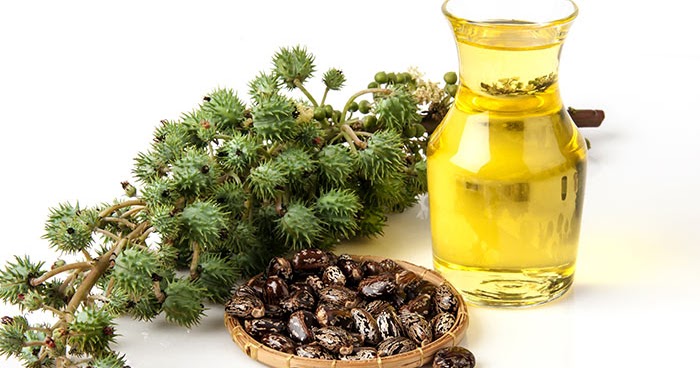 Medicina i lijek: Ricinusovo ulje je toliko zdravo lijeci čak 25 ...