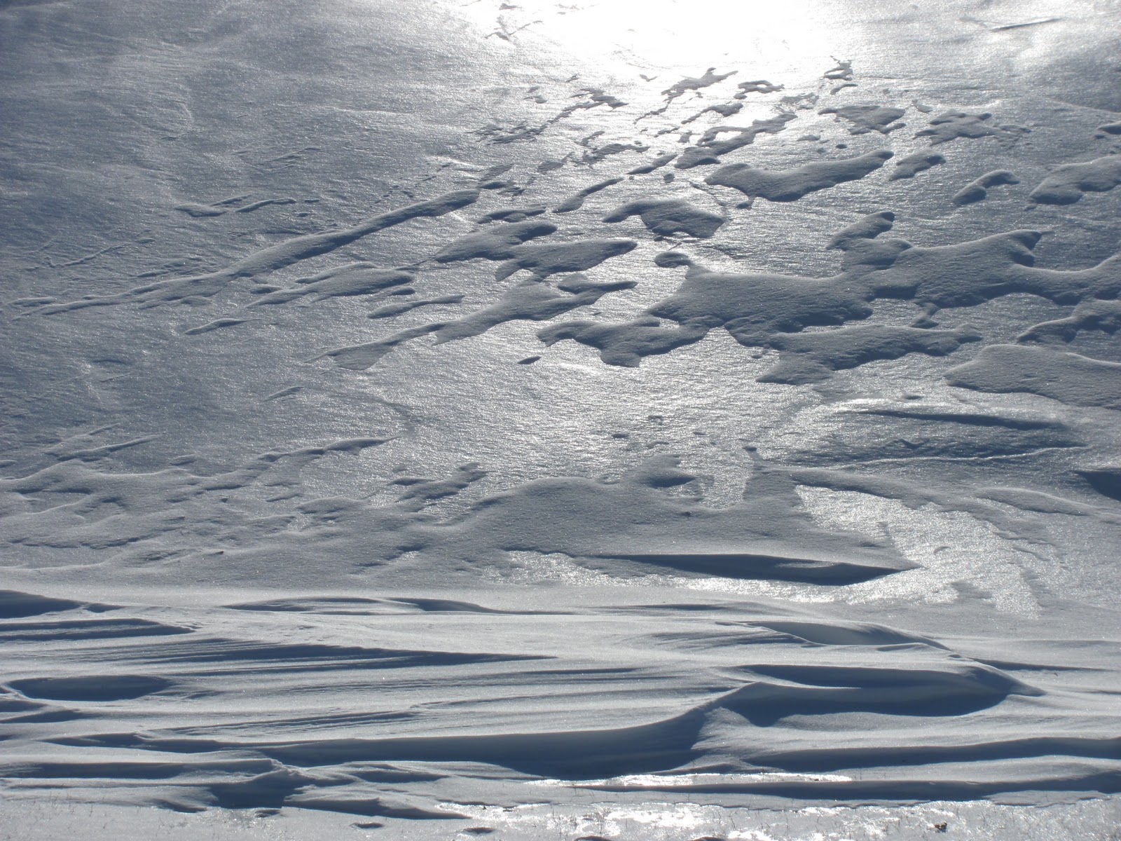 curving back: snow, sand and stardust