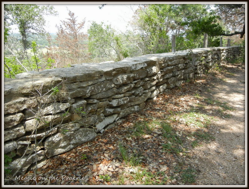 Meggie On The Prairie: Friday's Fences