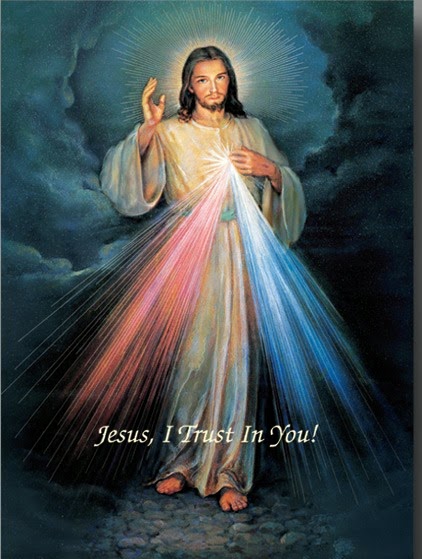 Father Ray's 'Other' Corner: Miracles of Divine Mercy