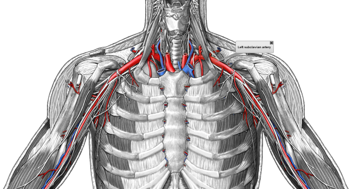 Sistemas en ciencias de la salud y Fisioterapia : ultima practica 1 parcial