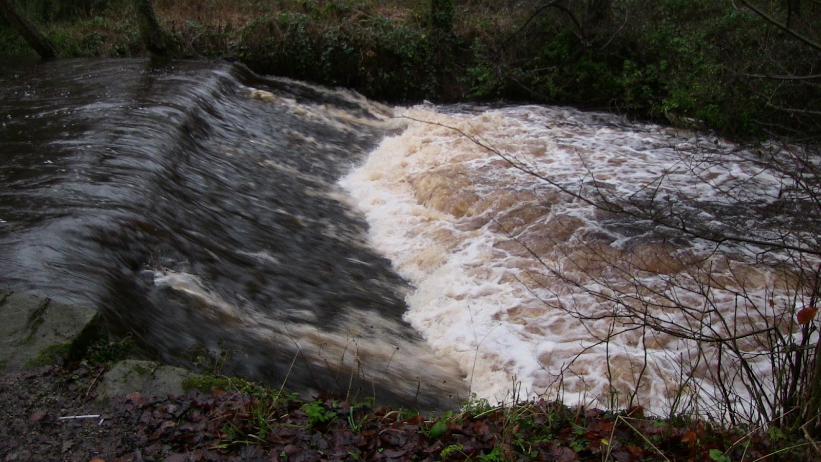 Why Presume to Remove Weirs? (with River Dove Case Study) | Wild Trout ...