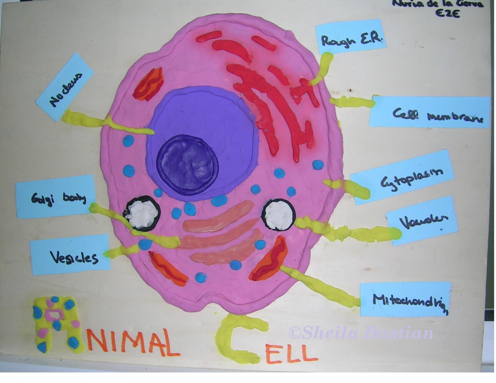 Science Magazine: Topics/Projects