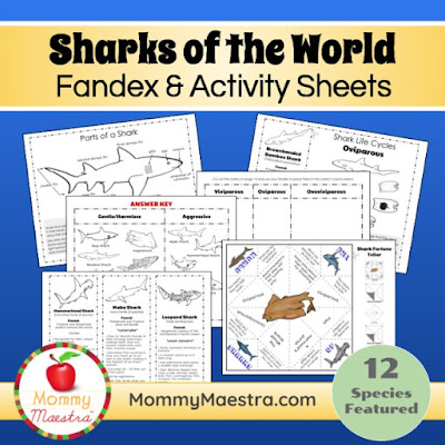 Mommy Maestra: Celebrating Shark Week with National Geographic Kids