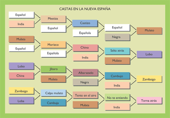 Grupos raciales dentro de las castas: Tabla de castas.