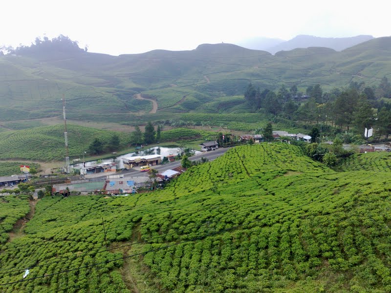 TAKJUB INDONESIA: INDAHNYA PEMANDANGAN DI RINDU ALAM PUNCAK