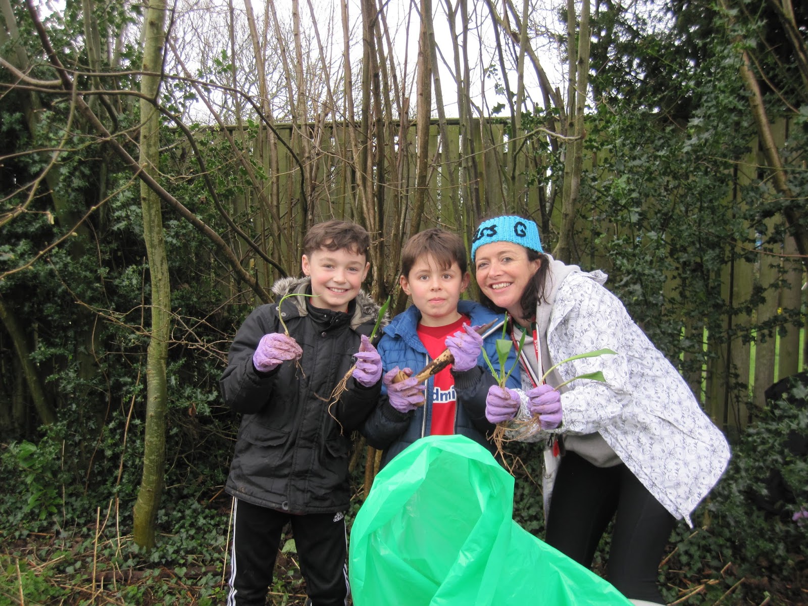 Friends of Nant Fawr Community Woodlands: Bulb planting by Ton yr Ywen ...