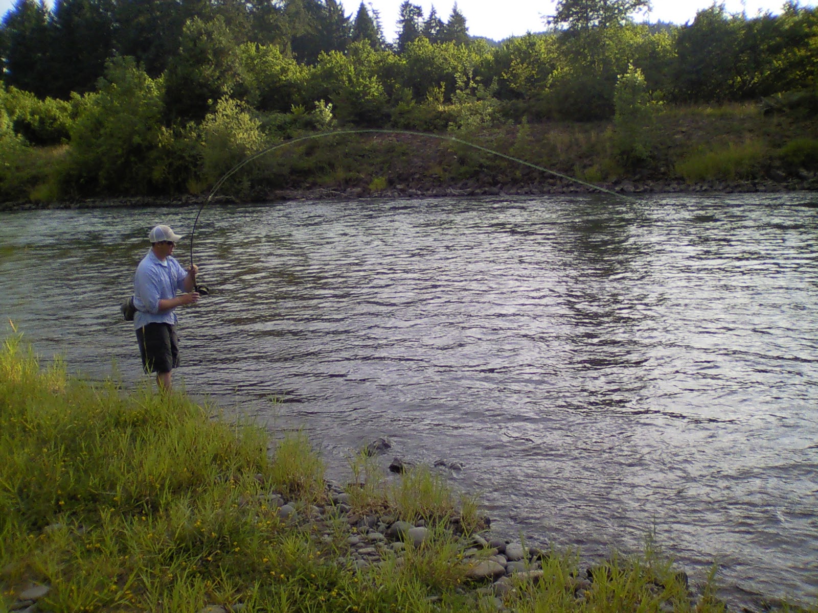 DRY LINE STEELHEAD - OREGON: First Surface Steelhead for Summer 2013