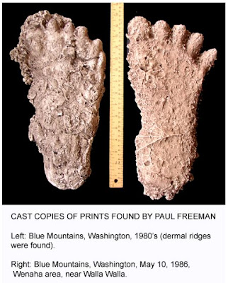 Phantoms and Monsters - Real Cryptid Encounter Reports - Fortean ...