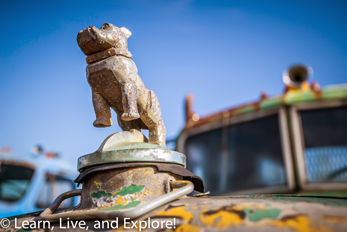 A Truck Graveyard in Columbia, VA ~ Learn, Live, and Explore!