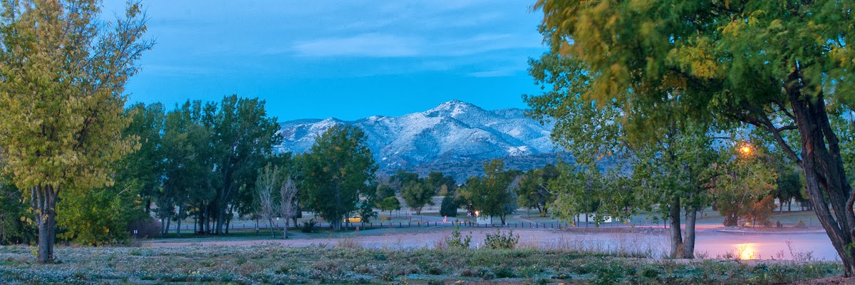 A Tree Falling: Chatfield State Park: October 2013 Sunrise