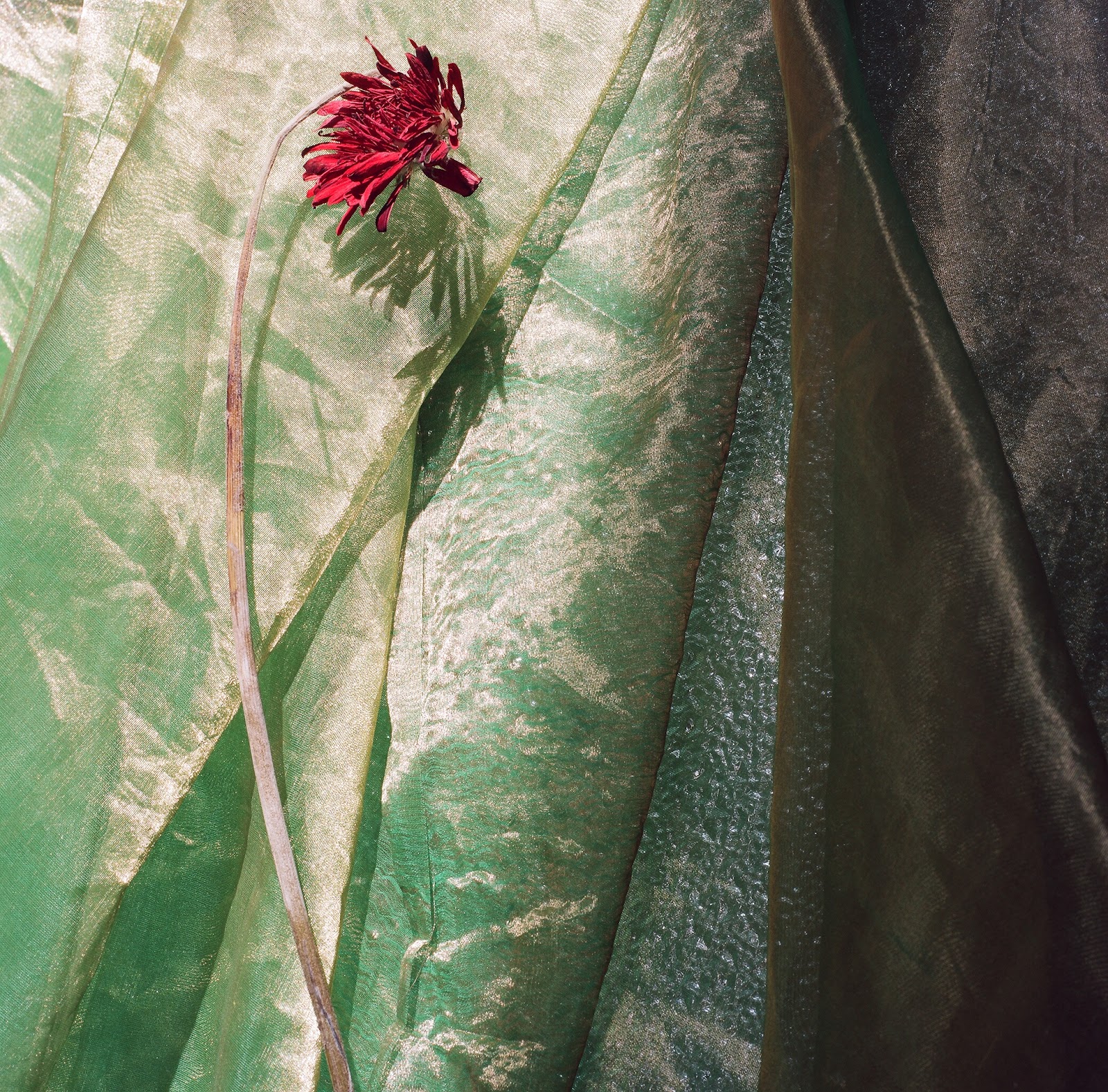 New Still Lifes: Tomorrow on my way to the North Sea to prepare some ...