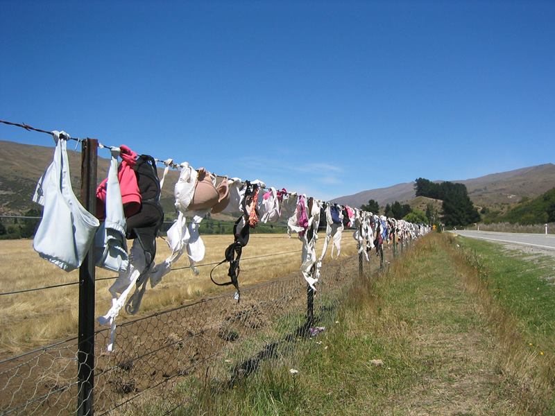 The Cardrona Bra Fence, New Zealand