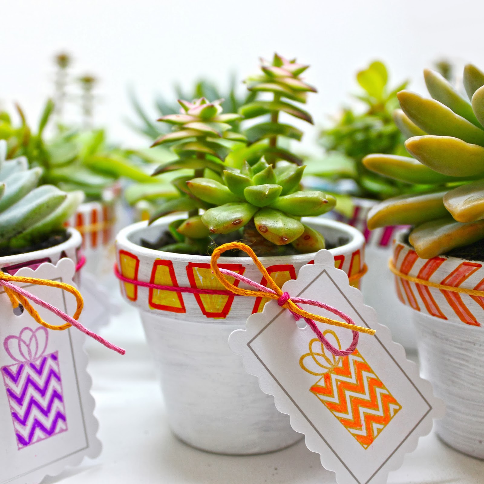 Courtney's Edible Garden: Small Gift or Favors Idea - Succulents