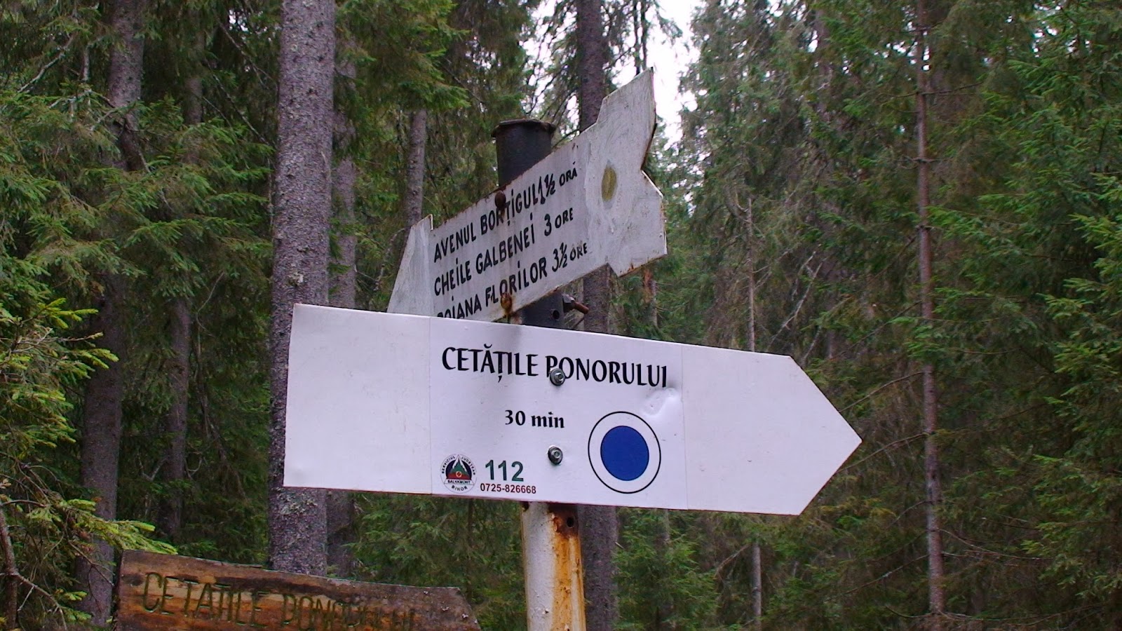 TUDOR PHOTO BLOG: Padis-Zona Turistica,Padis-Touristic Zone,Muntii ...