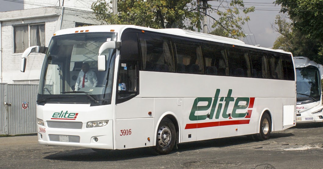 MAXIBUSES: ELITE