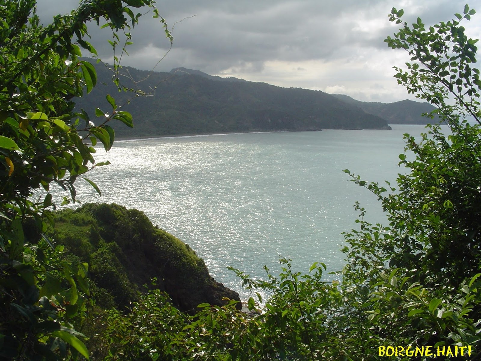 Adesc Culture: Borgne