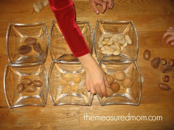 Letter N: N is for Nuts, Nut Sorting, Help the Squirrel, Fall Math Game ...