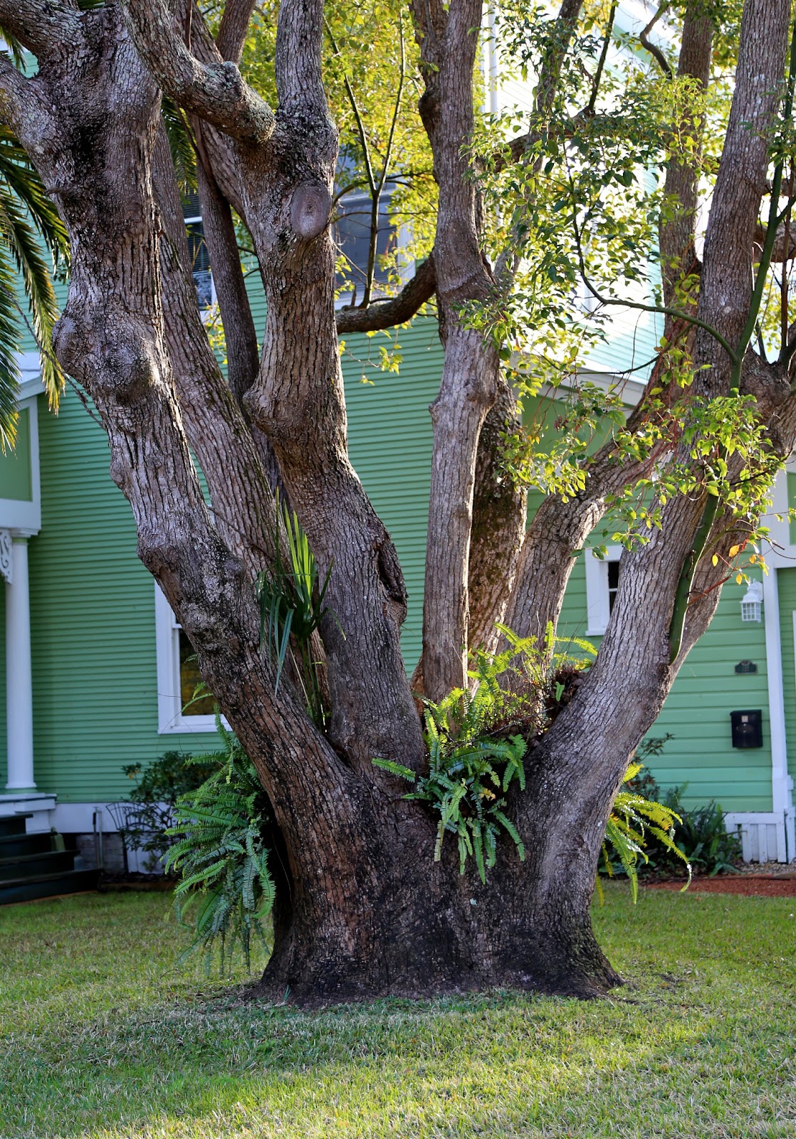 Sweet Southern Days: Apalachicola, Florida