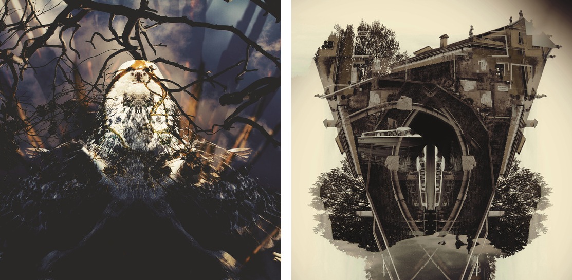 Scarlet Seal: Ritty Tacsum