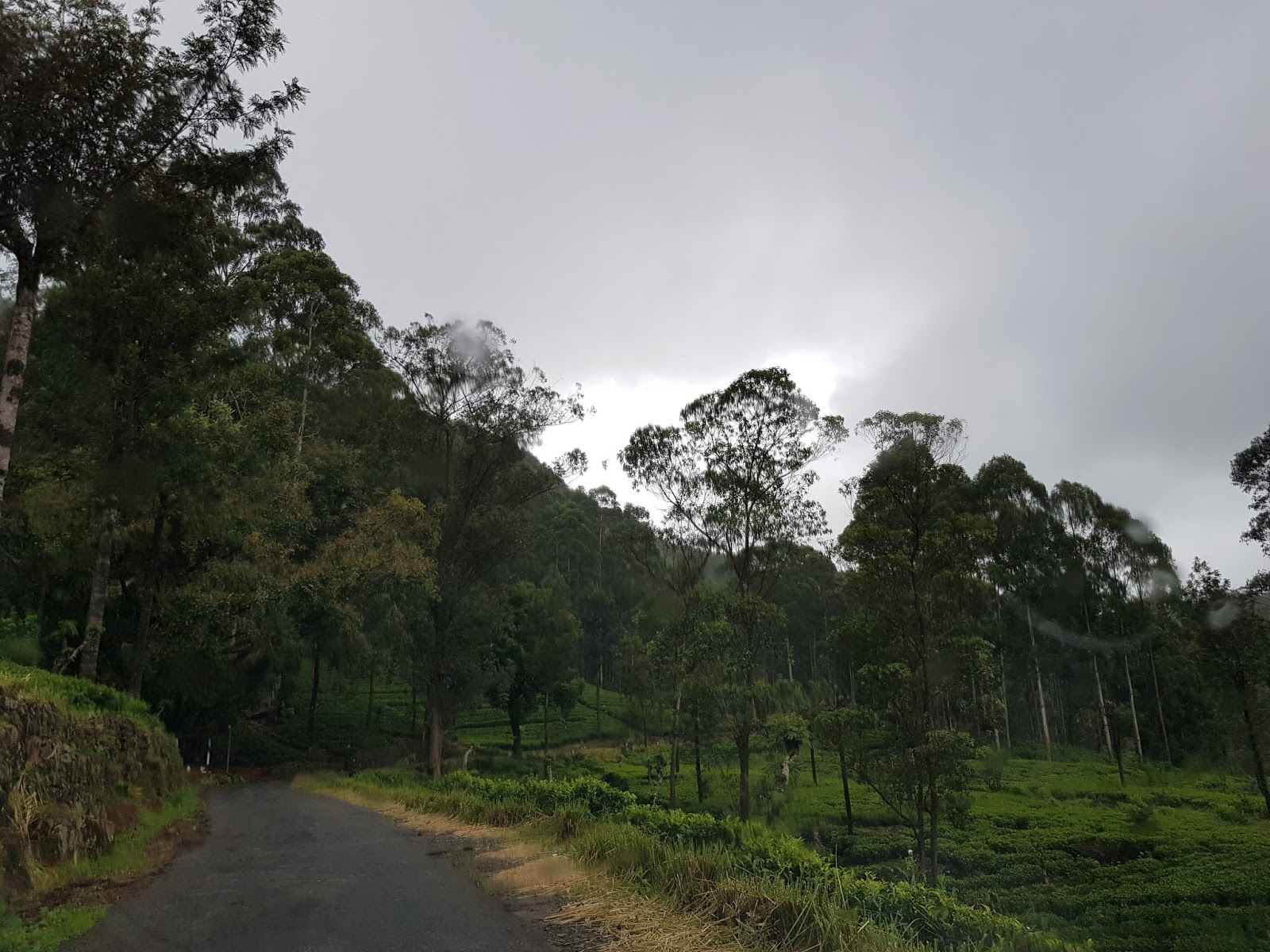 Road Trip - Colombo to Talawakelle, Nawalapitiya, Dolosbage, Dedugala ...