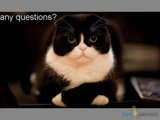 Animal Facts That YOU Need to know about!!!: Ask me about Animals!!!