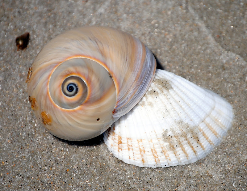 NANCY and BILL: A Great Day for Golf–Sunday–April 29, 2012