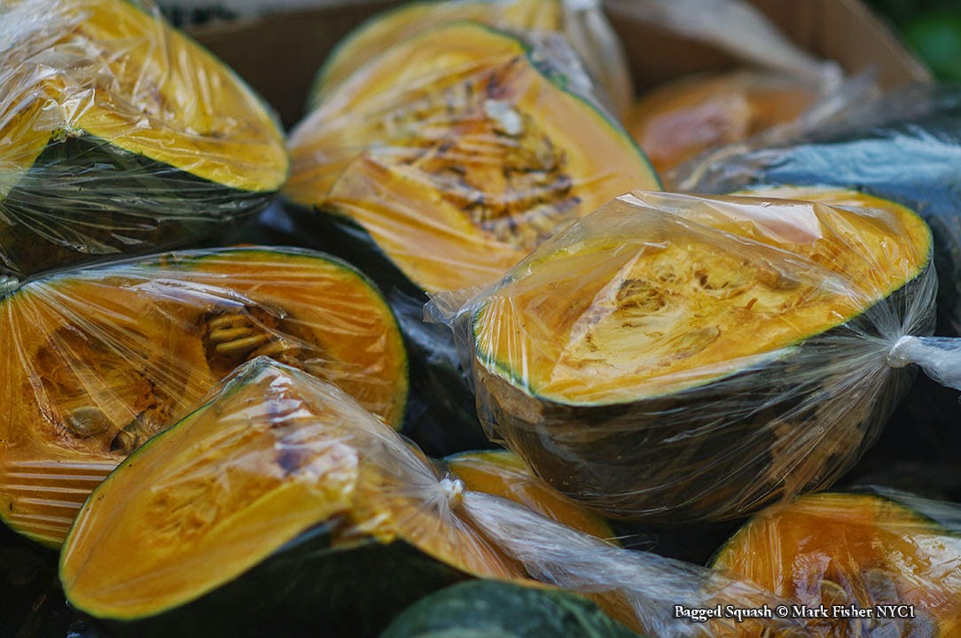 The People For The People: Bagged Squash • American Photographer Mark ...
