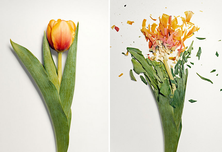 Faktoider: Promession: Ny begravningsmetod som inte finns