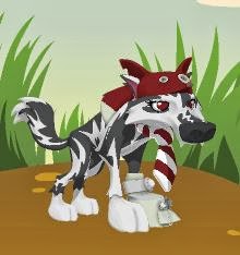 The Animal Jam Non Member: Clothing tricks!