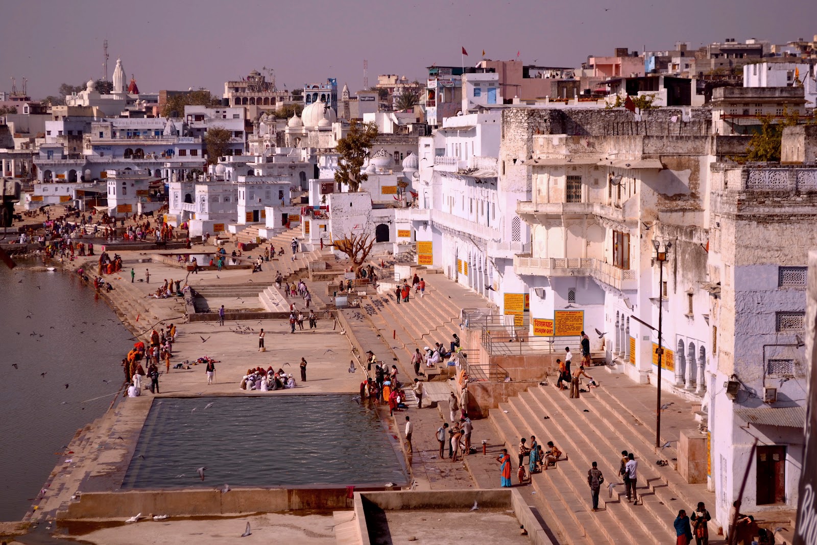 Travel & Adventures: Pushkar ( पुष्कर ). A voyage to Pushkar, Eastern ...