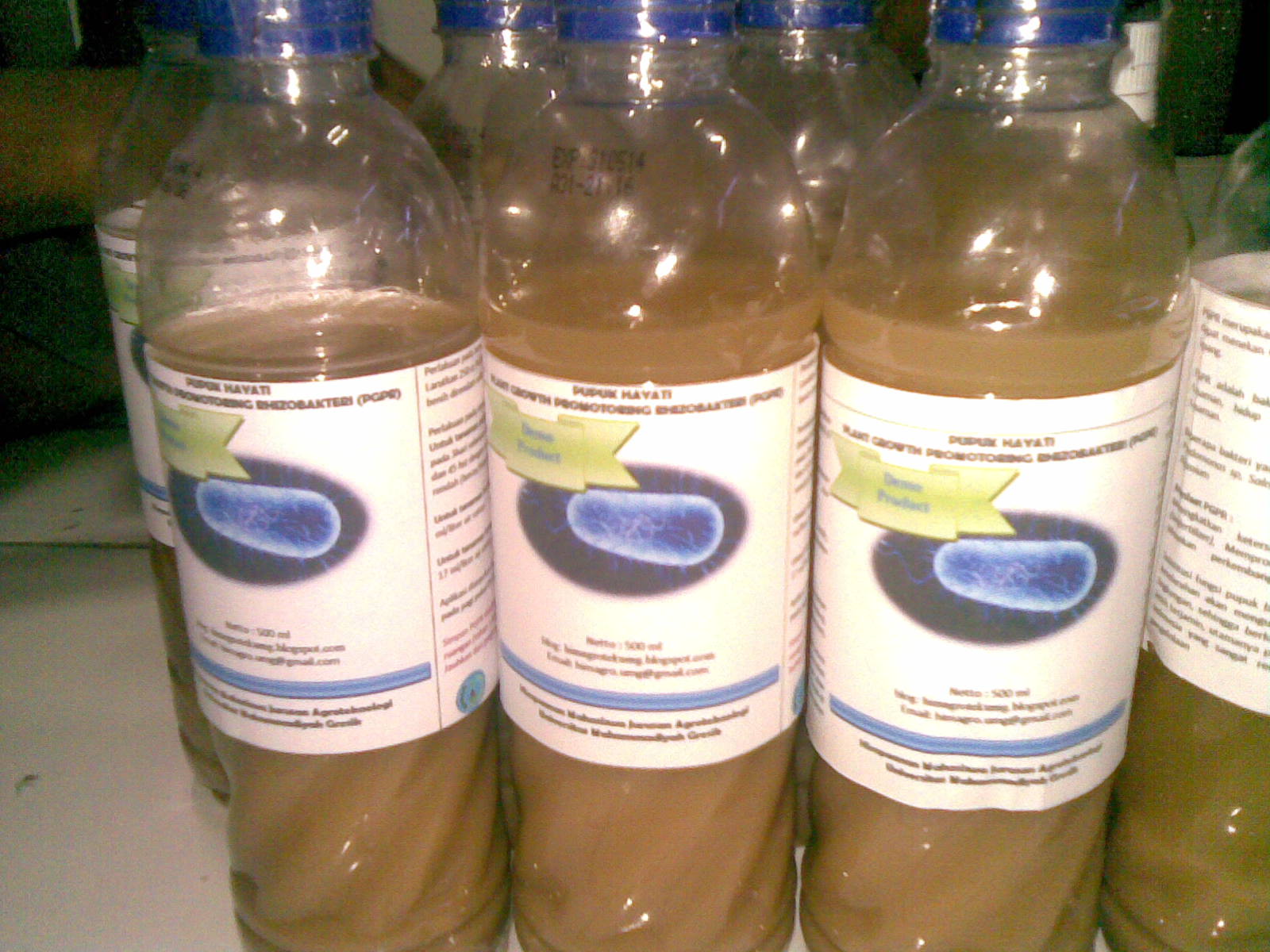 Agroteknologi UMG: PGPR, Produk Hayati Sahabat Tanaman