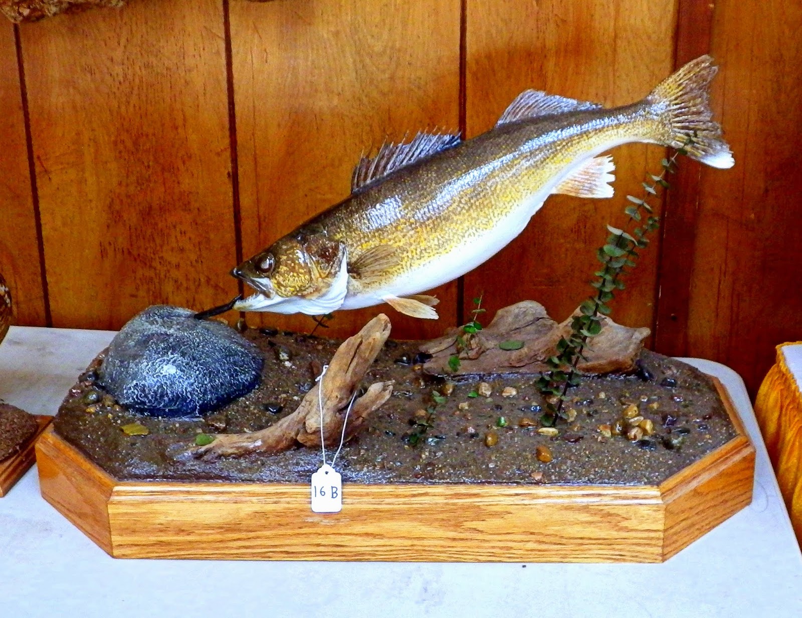 Reverend Fowl: Photo Album: Game Fair 2018 Reopens August 17th