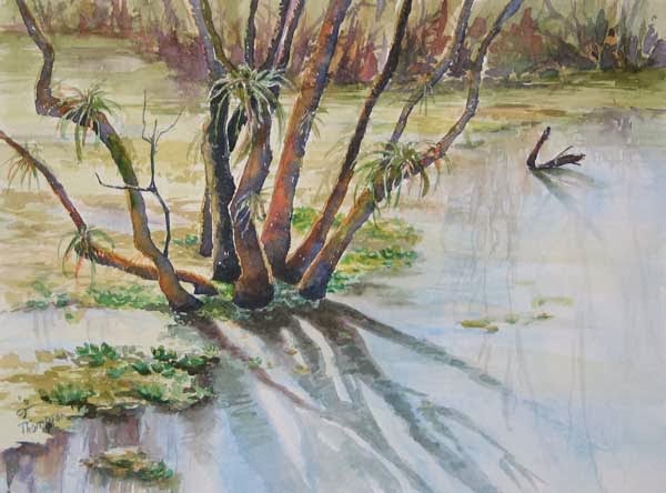 Daily Artwork by Carolyn Jean Thompson: "Swamp Tree Garden" watercolor ...