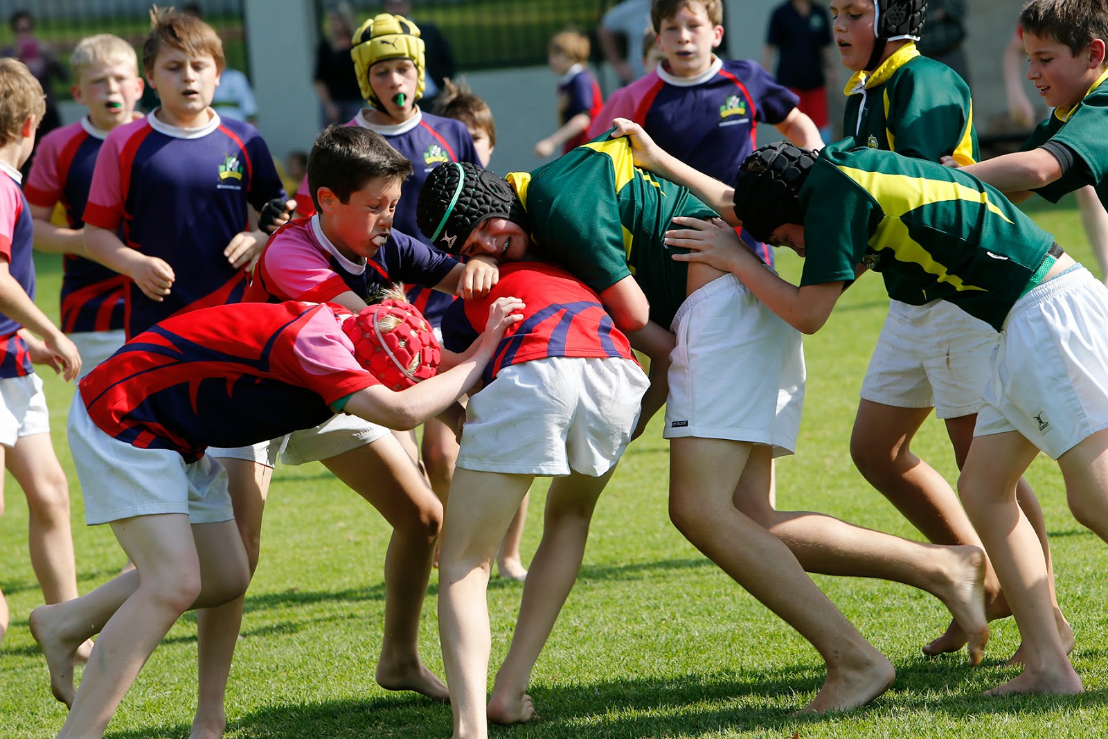 LHS and St Hugh's South Africa Tour 2014: Jan Celliers Photos