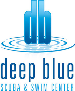 Deep Blue Swim School: New Student Special for Swimming Classes in Long ...