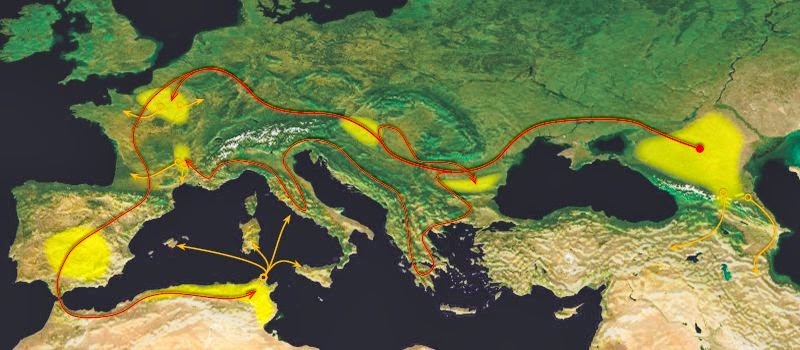 Ghulf Genes: Iberia Absorbs the Visigoths