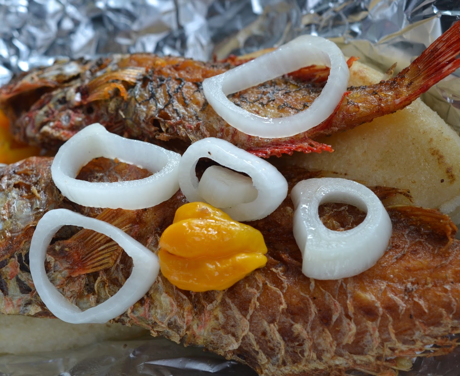 Greedy Girl : Greedy Girl Eats: Border fish