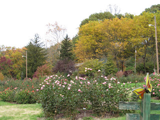 Renzie Park Rose Garden, McKeesport, PA | Interesting Pennsylvania and ...